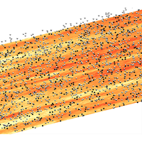 Momentum and kinetic energy transport in supersonic particle-laden ...
