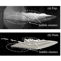 Insights into the characteristics of sheet/cloud cavitation and tip ...