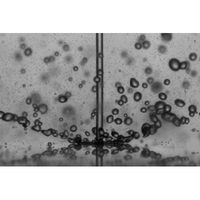 Vertical impact of a water jet on a hot plate: From a growing drop to ...