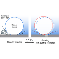 Bubble oscillation and effects of dynamic behaviors on forces and mass ...