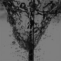 Physical Review Fluids - Volume 9 Issue 12