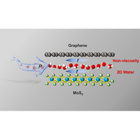Dynamics of two-dimensional water flow in angstrom-scale mono and ...
