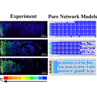 Pore network modeling for evaporation of complex fluids in porous media | Phys. Rev. Fluids