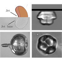 Visualizations of ultrafast bubble dynamics | Phys. Rev. Fluids
