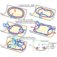 Dynamics of a vortex ring impinging on a concave hemicylindrical shell ...