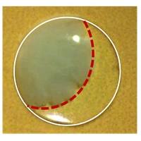 Salts retard ice crystal growth in supercooled droplets during ...