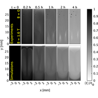Magnetophoresis of paramagnetic nanoparticles in suspensions under ...