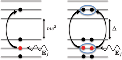 Physical Review Letters - Volume 126 Issue 11