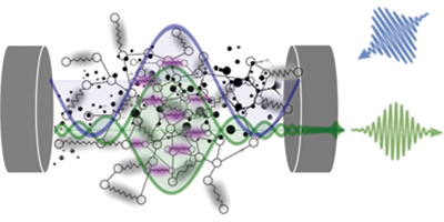 Physical Review Letters - Volume 133 Issue 18