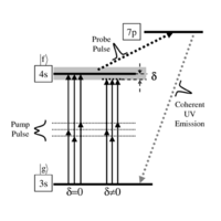Observation and Symmetry-Based Coherent Control of Transient Two-Photon ...