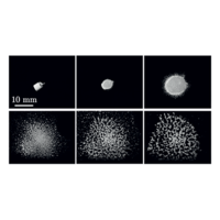 Dense Suspension Splat: Monolayer Spreading and Hole Formation after ...