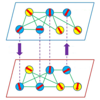 Explosive Synchronization in Adaptive and Multilayer Networks | Phys. Rev. Lett.