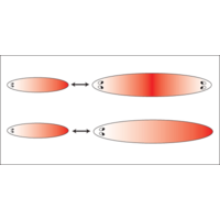 Scaling and Regeneration of Self-Organized Patterns | Phys. Rev. Lett.