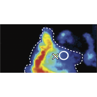 Individual Quantum Probes for Optimal Thermometry | Phys. Rev. Lett.