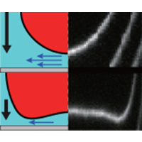 Out-of-Contact Elastohydrodynamic Deformation due to Lubrication Forces ...