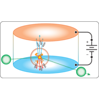 New Results from the Search for Low-Mass Weakly Interacting Massive ...