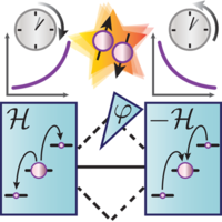 Quantum-Enhanced Sensing Based on Time Reversal of Nonlinear Dynamics ...