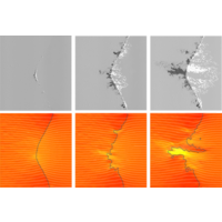 Evolution of Porosity and Channelization of an Erosive Medium Driven by ...