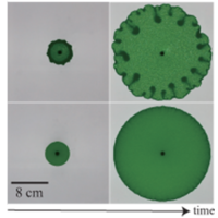 Formation and Destabilization of the Particle Band on the Fluid-Fluid ...