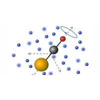 Quasiparticle Approach to Molecules Interacting with Quantum Solvents ...
