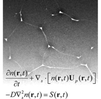 Electric-Field-Induced Pattern Formation in Layers of DNA Molecules at ...
