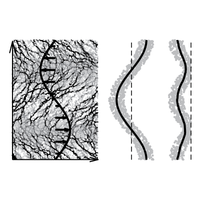 Modeling the Microstructure and Stress in Dense Suspensions under ...