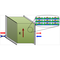 Physical Review Letters - Volume 128 Issue 1