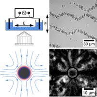 Emergence of Colloidal Patterns in ac Electric Fields | Phys. Rev. Lett.