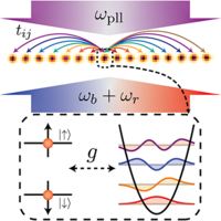Experimental Realization of the Rabi-Hubbard Model with Trapped Ions ...