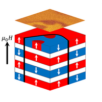 Direct Visualization of Surface Spin-Flip Transition in | Phys. Rev. Lett.