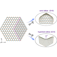 Observation of Topological -Orbital Disclination States in Non ...