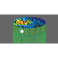 Search for Light Fermionic Dark Matter Absorption on Electrons in ...