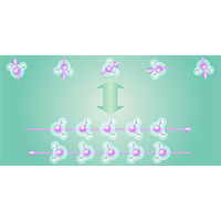 Quantum Phase Transition in the One-Dimensional Water Chain | Phys. Rev ...