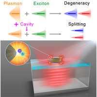 Highly Efficient Single-Exciton Strong Coupling with Plasmons by ...