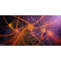 Linear Classification of Neural Manifolds with Correlated Variability ...