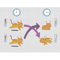 Quantum Mpemba Effect in a Quantum Dot with Reservoirs | Phys. Rev. Lett.