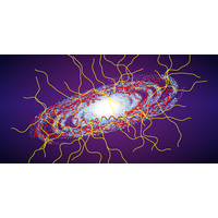 Measurement of Ultra-High-Energy Diffuse Gamma-Ray Emission of the ...
