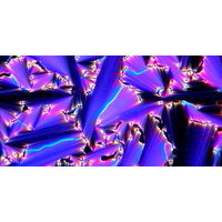 Topological Defect Formation in a Phase Transition with Tunable Order ...