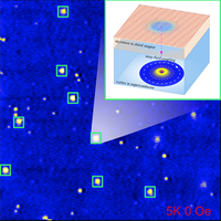Visualization of Skyrmion-Superconducting Vortex Pairs in a Chiral ...