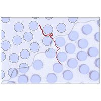 Locomotion of Active Polymerlike Worms in Porous Media | Phys. Rev. Lett.