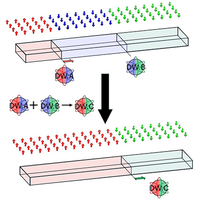 Domain Wall Reactions in Multiple-Order Parameter Ferroelectrics | Phys ...