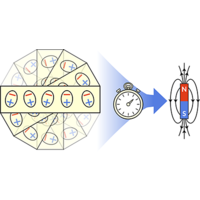 Dynamical multiferroicity | Phys. Rev. Materials