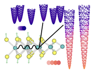 Mobility of two-dimensional materials from first principles in an ...