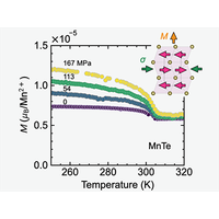 Piezomagnetic properties in altermagnetic MnTe | Phys. Rev. Materials