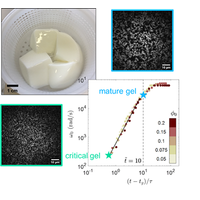Physical Review Materials - Highlights