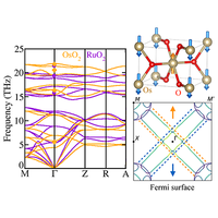 Altermagnetic behavior in : Parallels with | Phys. Rev. Materials