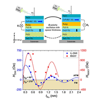 Experimental confirmation of Ruderman-Kittel-Kasuya-Yosida-type ...