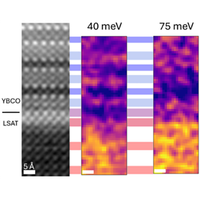 Atomic-scale mapping of interfacial phonon modes in epitaxial thin ...