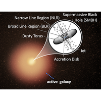 Physical Review Physics Education Research - Volume 19 Issue 2