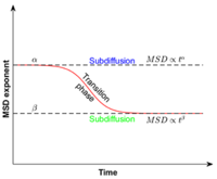 Phys. Rev. Research 1, 023006 (2019) - Control of the transient ...